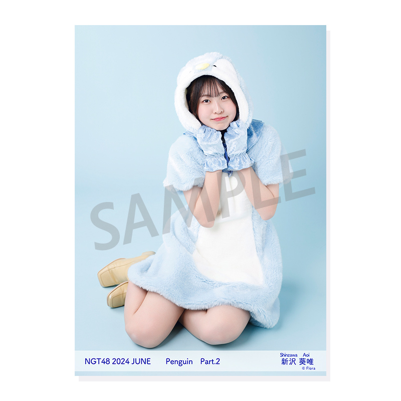 2024年6月度 個別生写真5枚セット Vol.1/Part2 新沢葵唯【L判サイズ】 - NGT48 OFFICIAL GOODS STORE